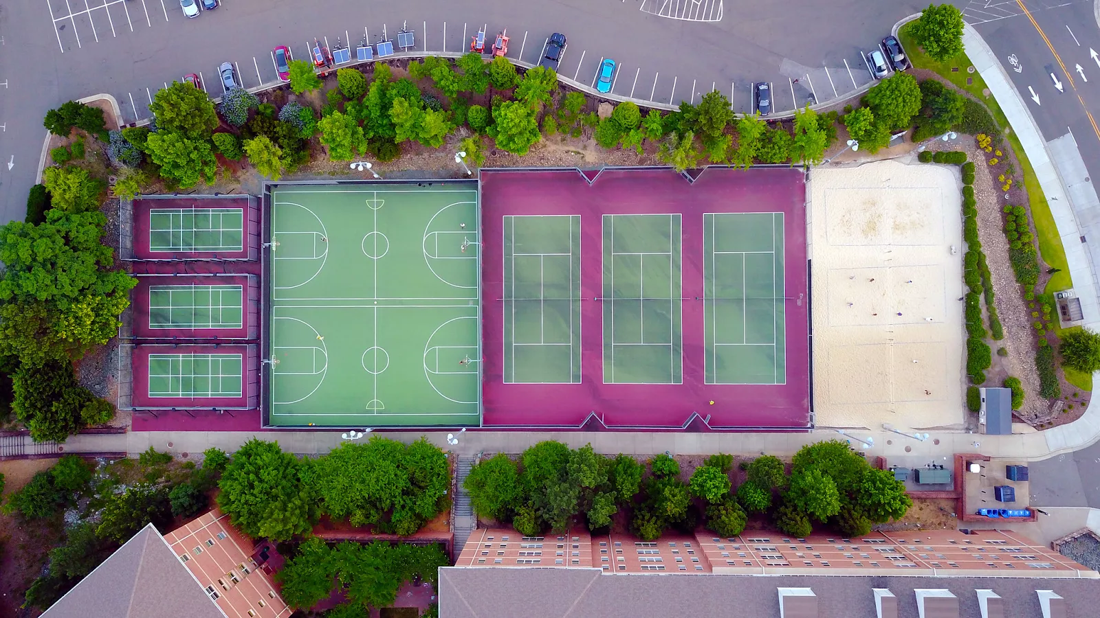 Discover The Top Colleges For Pickleball: Top Picks For Enthusiasts