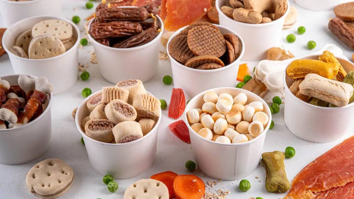 Top Pickleball Snacks And Drinks: Fuel Your Game With The Best Treats